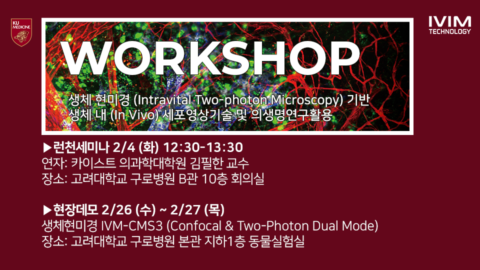 IVIM Technology - Global No.1 solution provider of IntraVital Microscopy