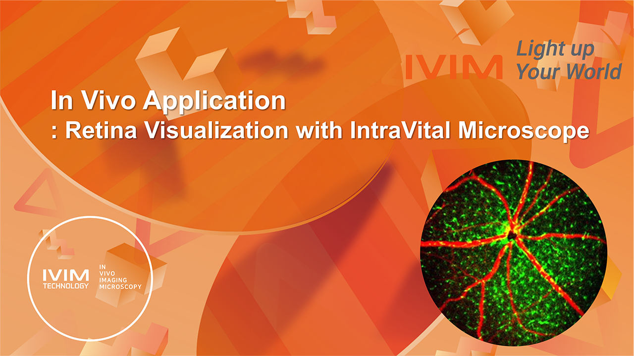 IVIM Technology - Global No.1 solution provider of IntraVital Microscopy