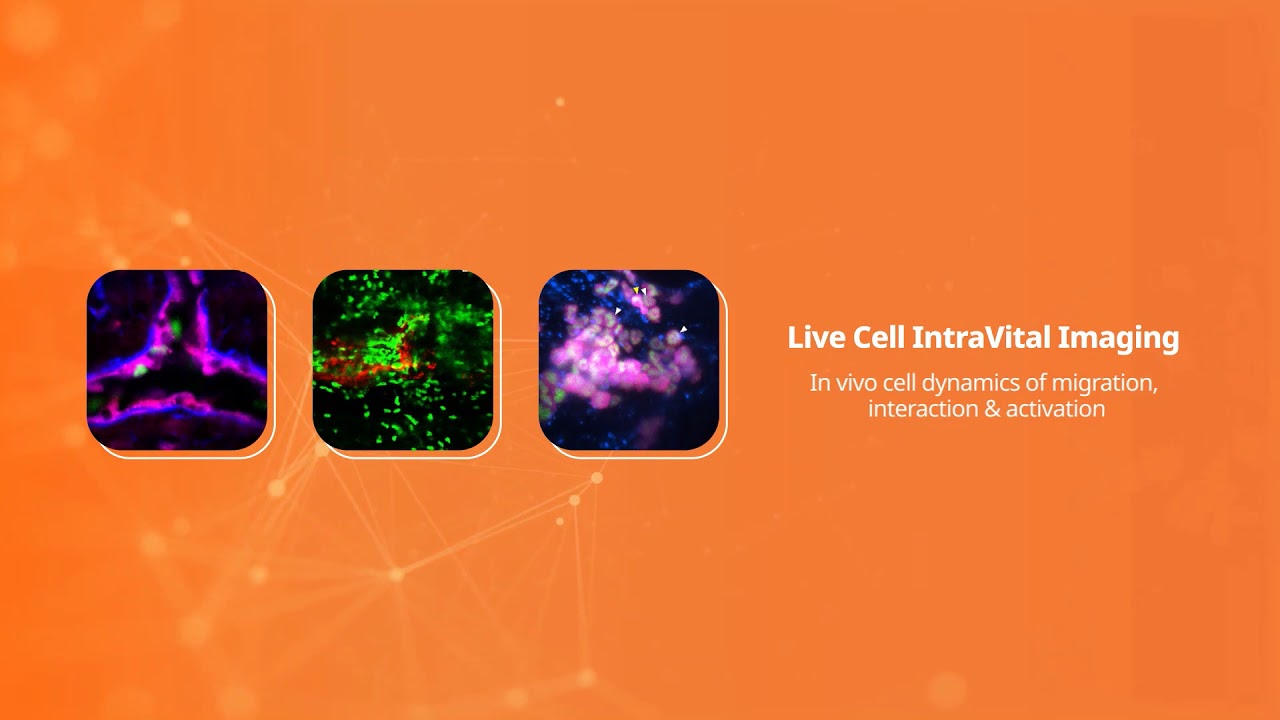 About us > News & Media