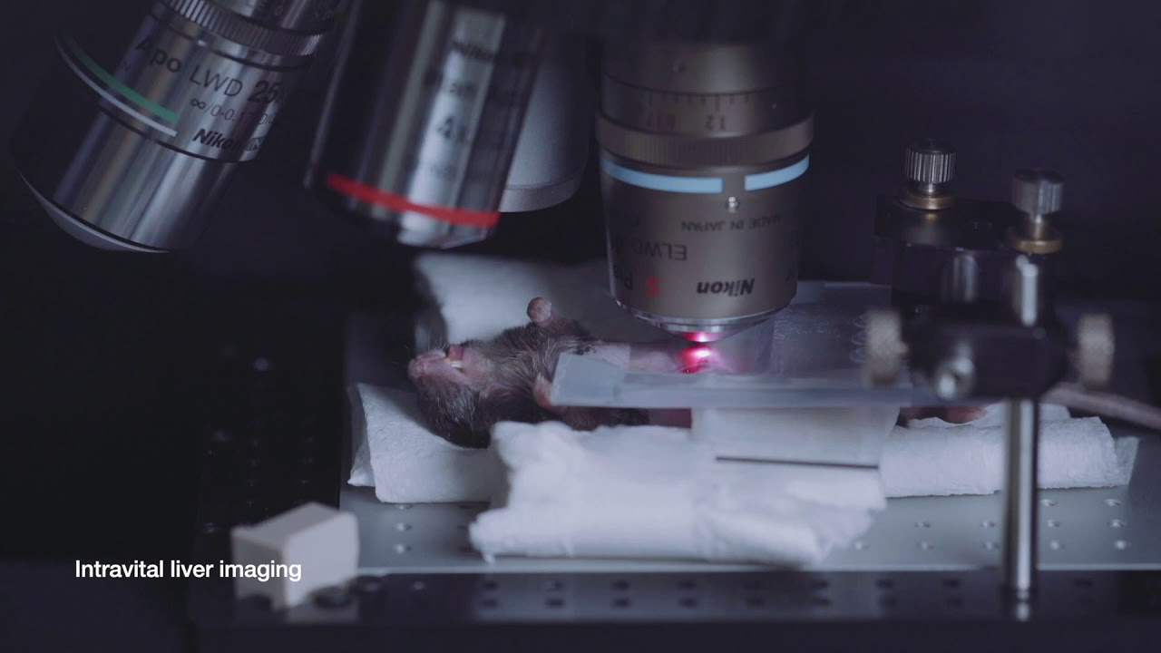 About us > News & Media